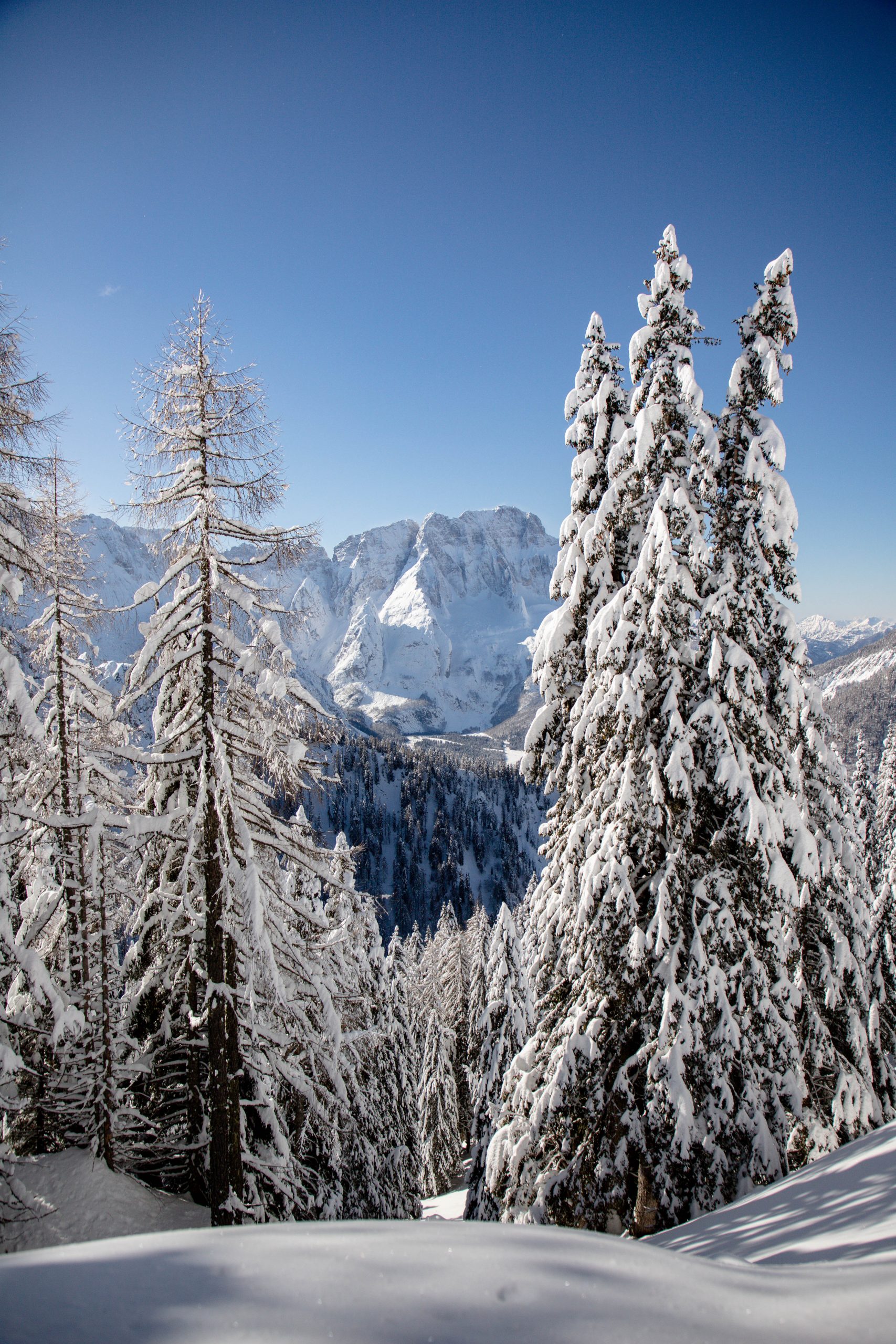 Monte Lussari - Where's Emma Now